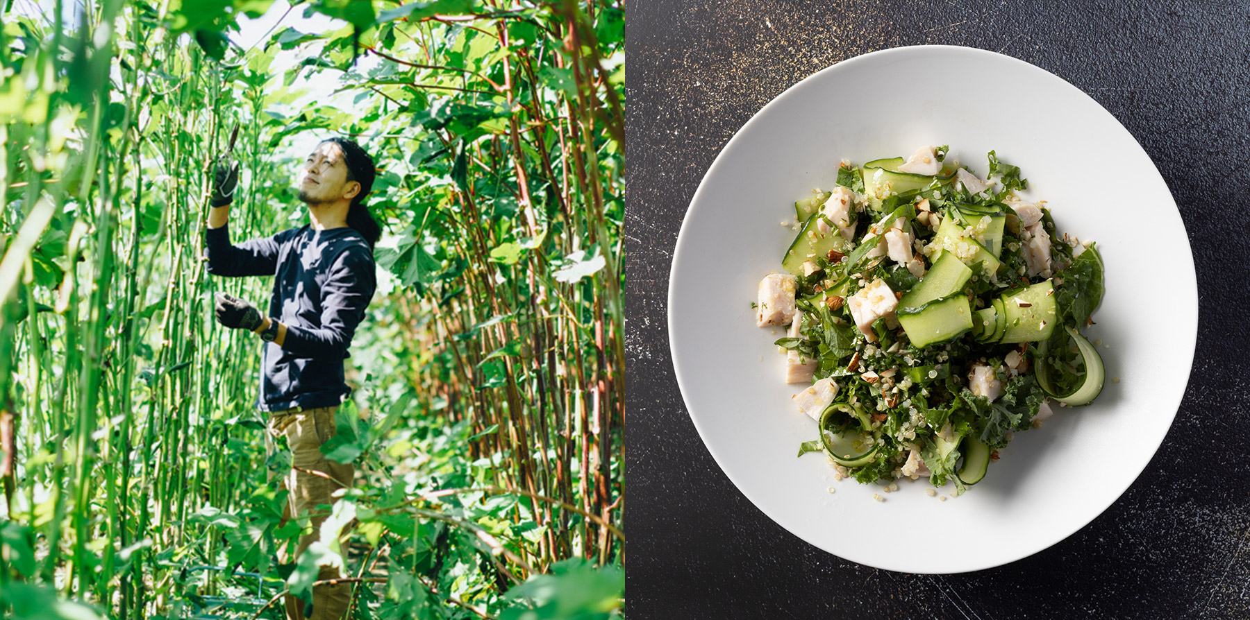 KABEAT -日本生産者食堂-